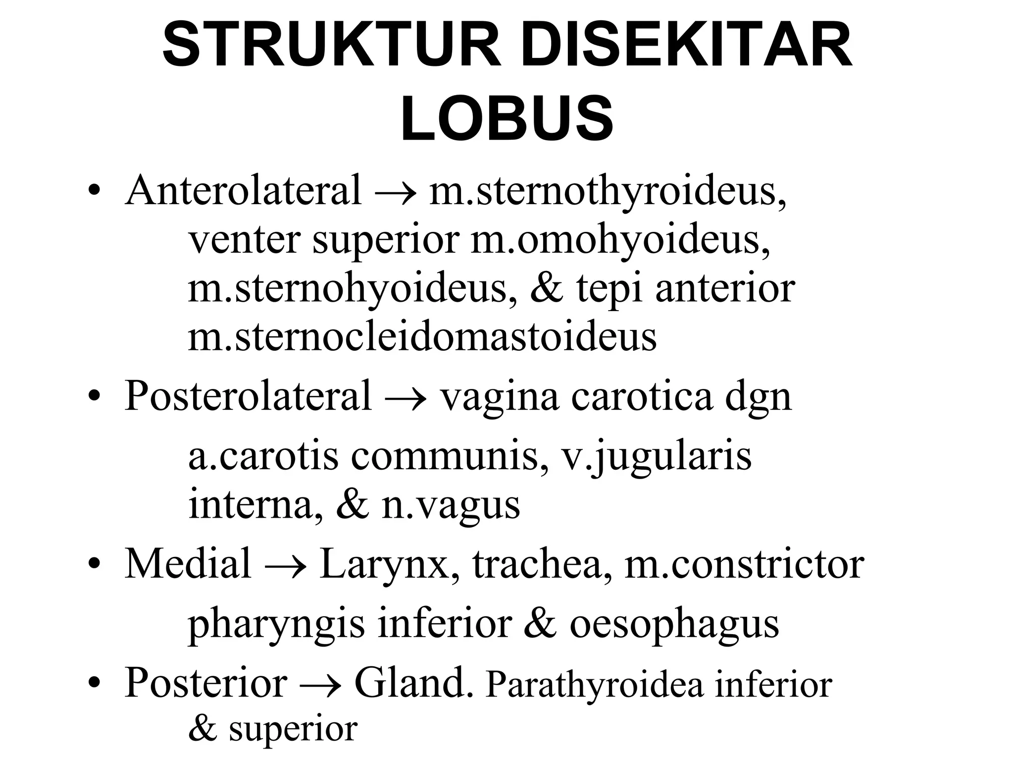 240011282-PPT-Anatomi-sistem-endokrin.ppt