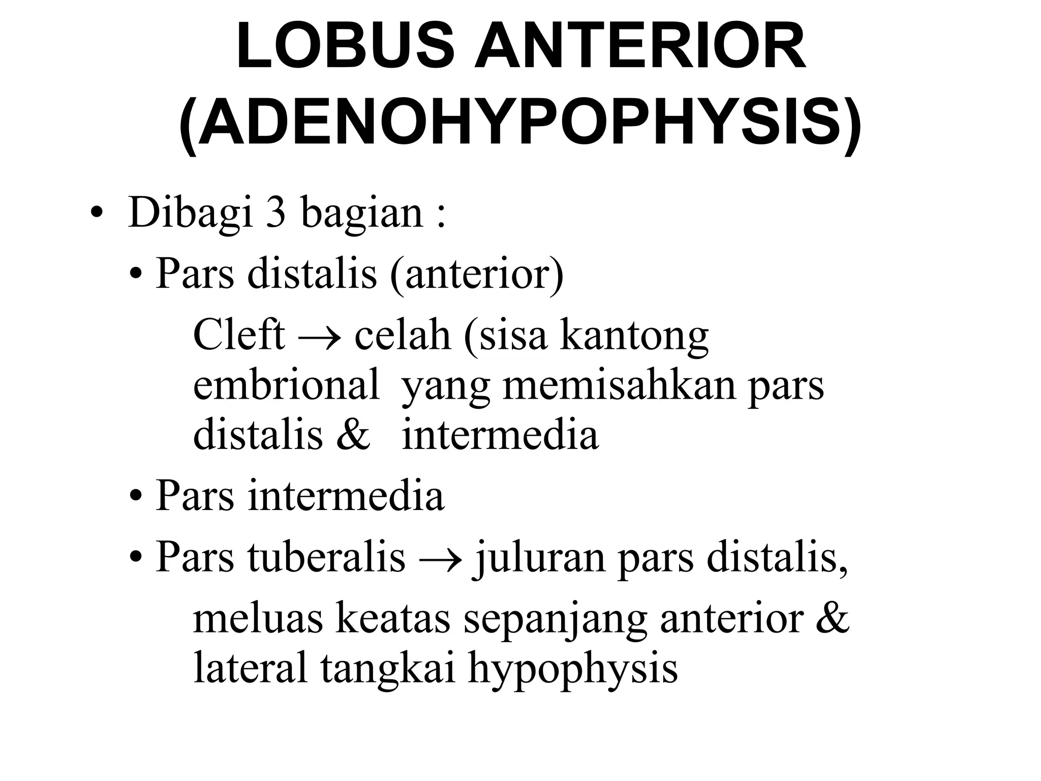240011282-PPT-Anatomi-sistem-endokrin.ppt
