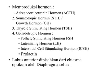 240011282-PPT-Anatomi-sistem-endokrin.ppt