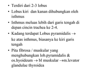 240011282-PPT-Anatomi-sistem-endokrin.ppt