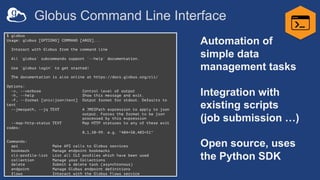 Introduction to Research Automation with Globus | PDF