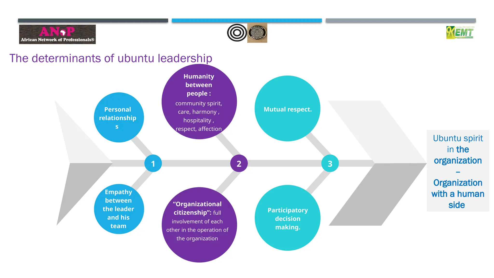 African Ubuntu Leadership Style - ANoP Webinar | PPSX