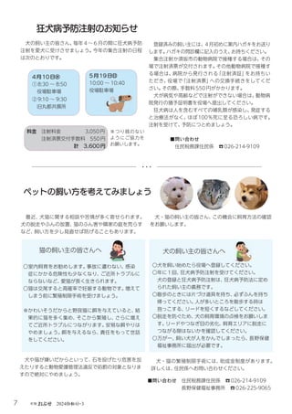 2403_chouhou_obuse_reiwa6nen3gatu_slide.pdf