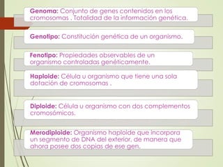 Mutagénesis “Hidroxilamina como agente mutagénico para Neurospora ...