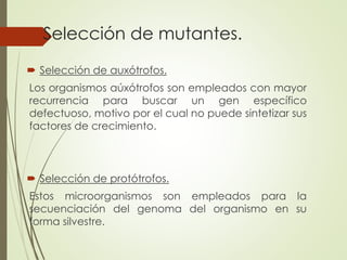 Mutagénesis “Hidroxilamina como agente mutagénico para Neurospora ...