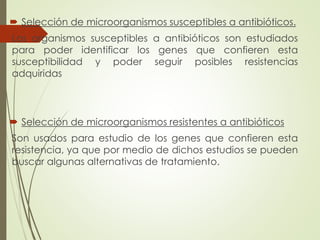 Mutagénesis “Hidroxilamina como agente mutagénico para Neurospora ...
