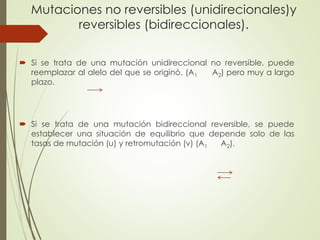 Mutagénesis “Hidroxilamina como agente mutagénico para Neurospora ...
