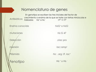 Mutagénesis “Hidroxilamina como agente mutagénico para Neurospora ...