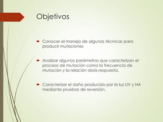 Mutagénesis “Hidroxilamina como agente mutagénico para Neurospora ...
