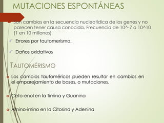 Mutagénesis “Hidroxilamina como agente mutagénico para Neurospora ...