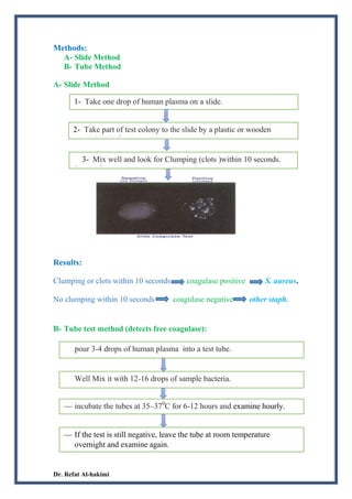 ⁨فحوصات كيميائيه_بكتيريه_240920220229⁩ | PDF