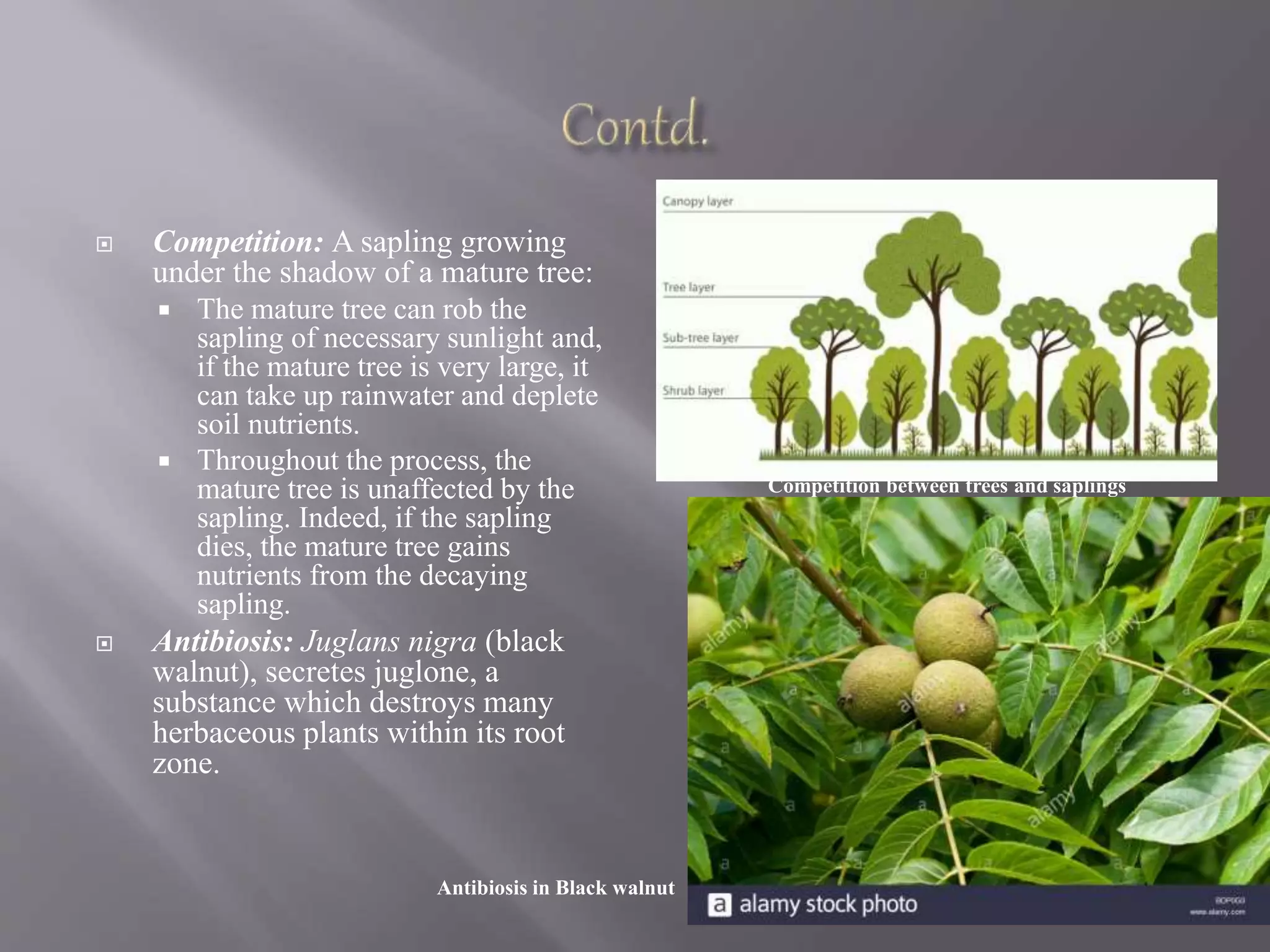 Biotic factors with reference to mutualism, amensalism, commensalism ...