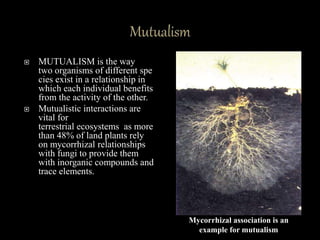 Biotic factors with reference to mutualism, amensalism, commensalism ...
