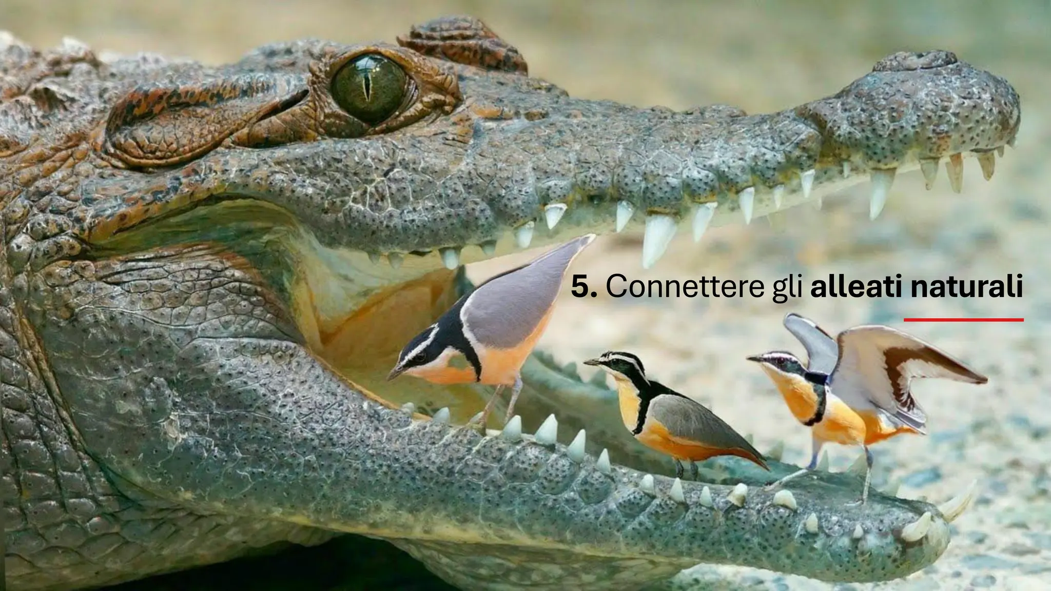 Corporate innovation war stories | SMAU MILANO 2024 | PDF