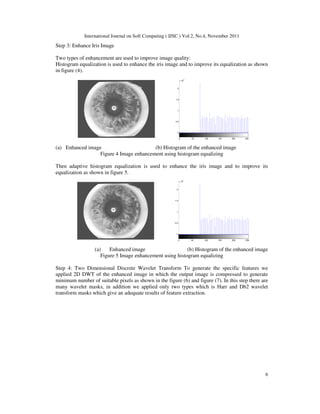 Biometric Iris Recognition Based on Hybrid Technique | PDF