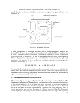 A Multiset Rule Based Petri net Algorithm for the Synthesis and Secretary Pathway of Plasma ...