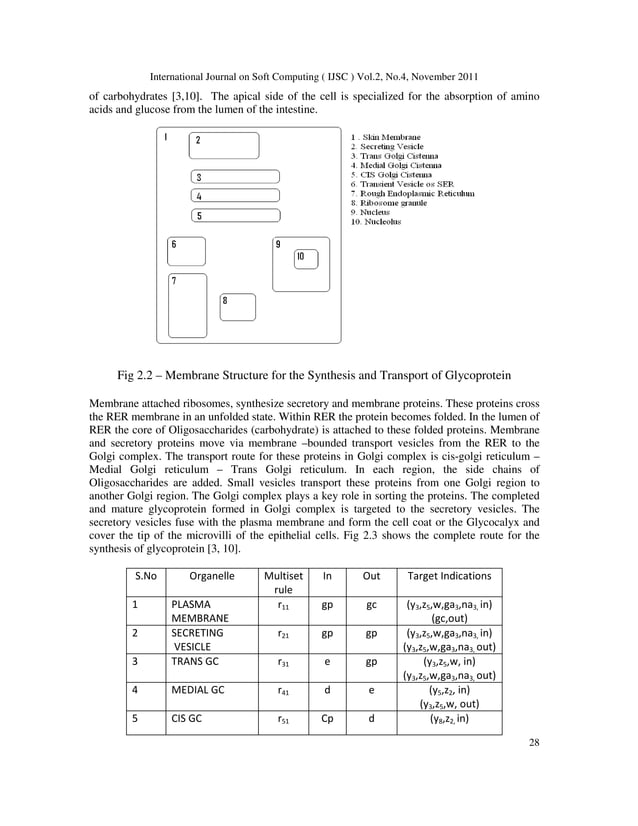 A Multiset Rule Based Petri net Algorithm for the Synthesis and Secretary Pathway of Plasma ...