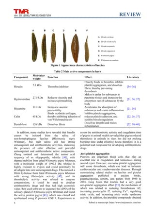 Research progress in the use of leeches for medical purposes | PDF ...