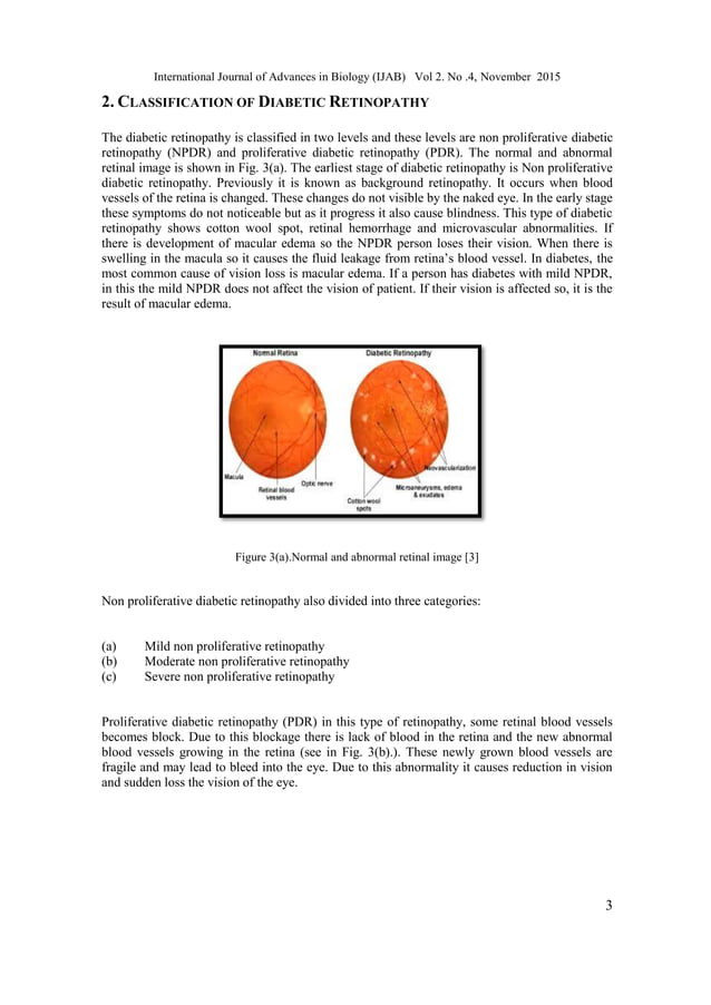 Exudates Detection From Digital Fundus Image Of Diabetic Retinopathy Pdf