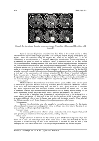 Recognition of brain cancer and cerebrospinal fluid due to the usage of ...