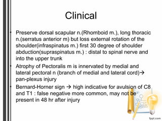 241 Early management of brachial plexus inries | PPT