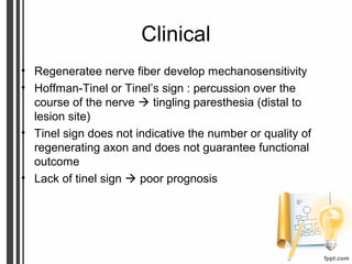 241 Early management of brachial plexus inries | PPT