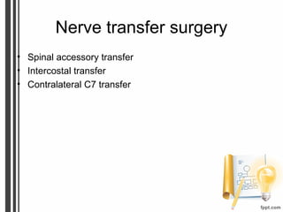 241 Early management of brachial plexus inries | PPT