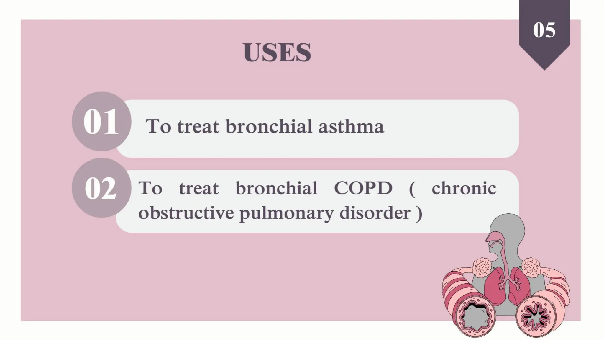 Salbutamol SAR, synthesis_ By Ankita Vishe.pdf