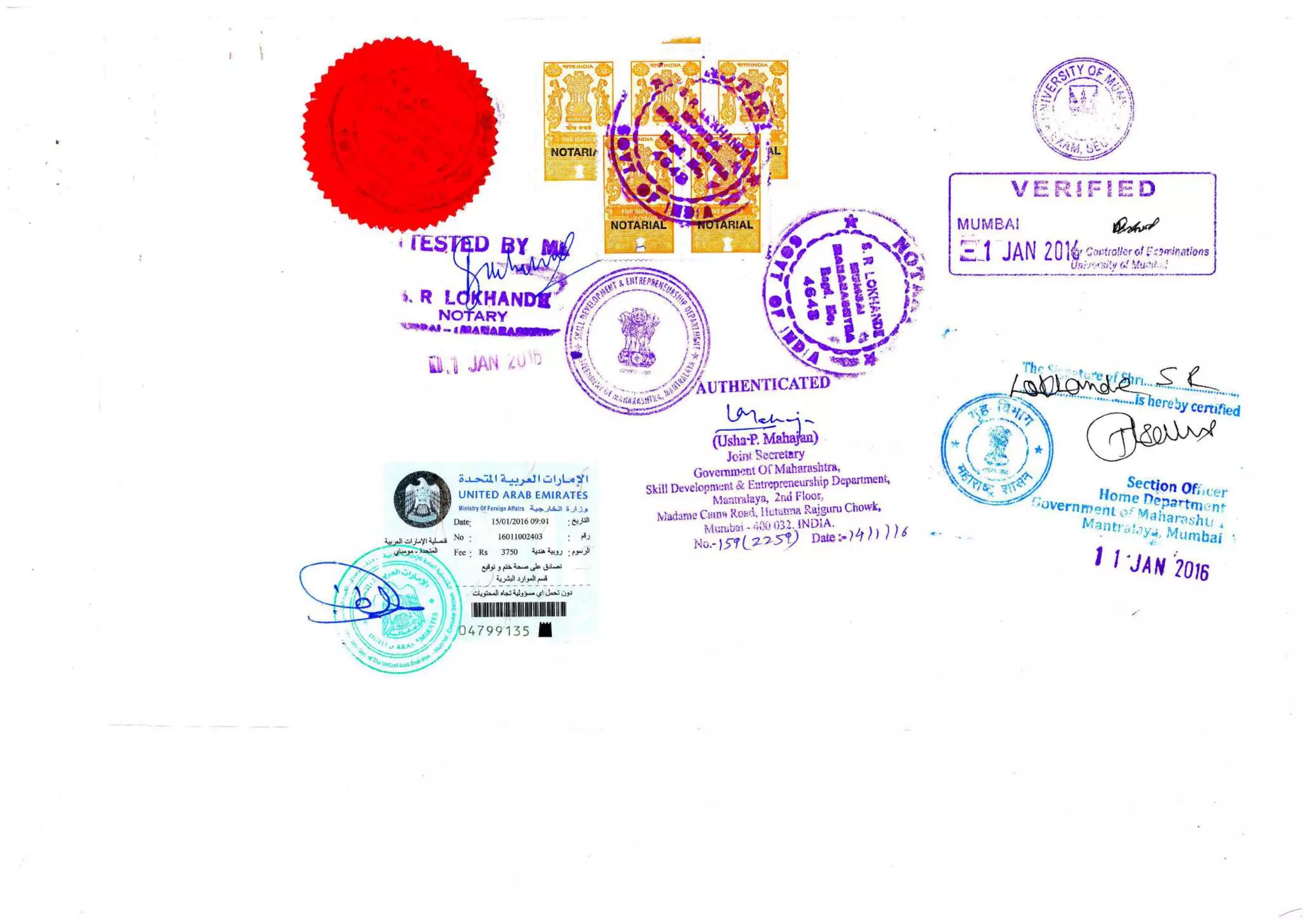 Convocation Certificate | PDF