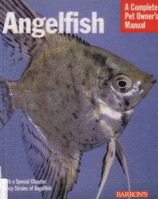 angelfish (1) | PDF