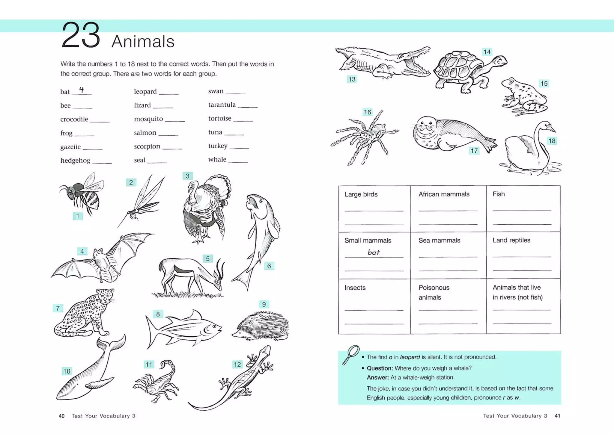 Test Your Vocabulary | PDF