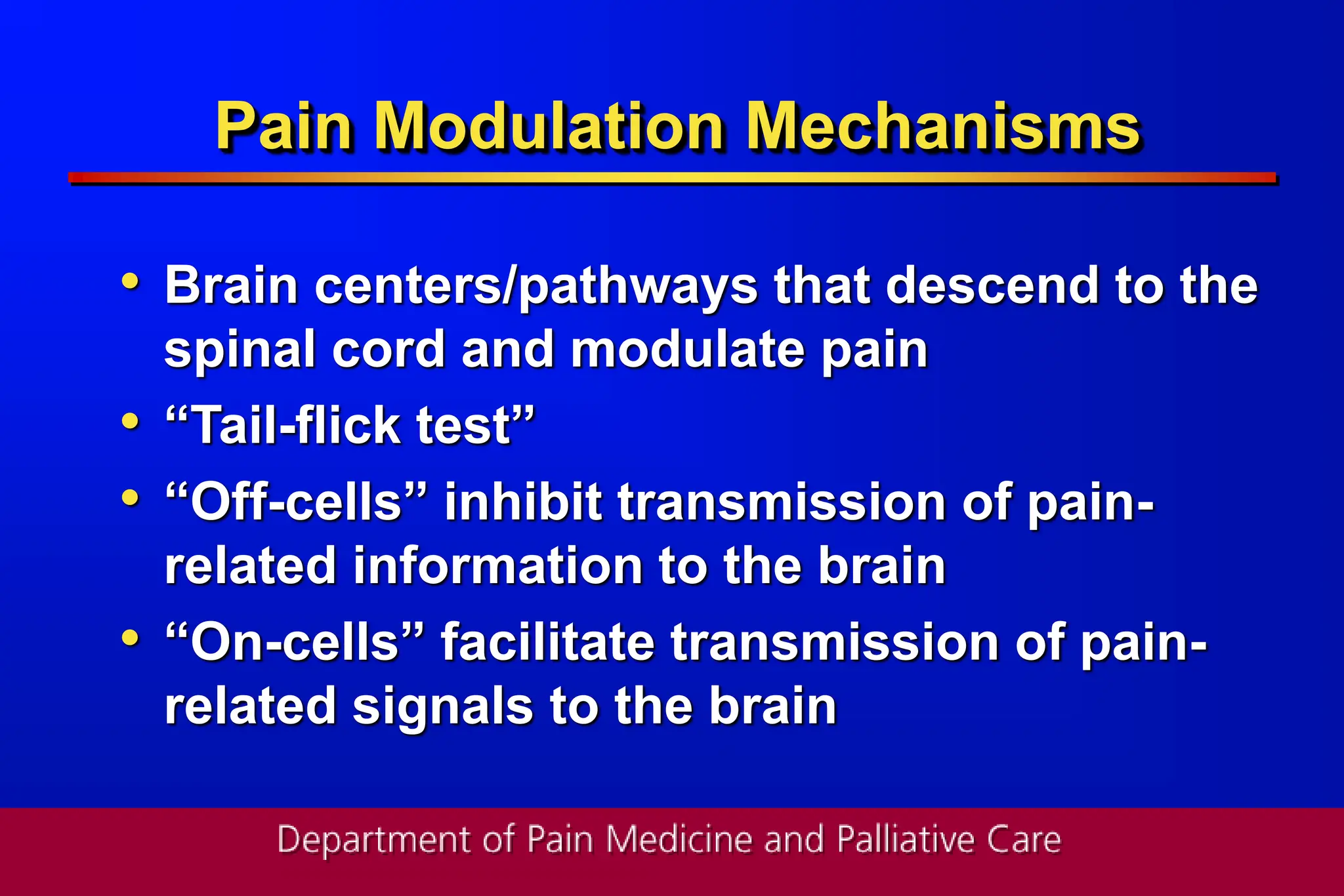 243500 pain pathophysiology describe.ppt