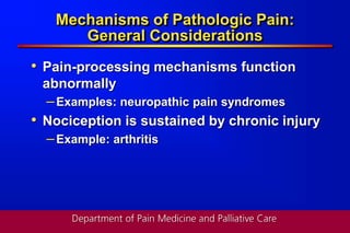 243500 pain pathophysiology describe.ppt