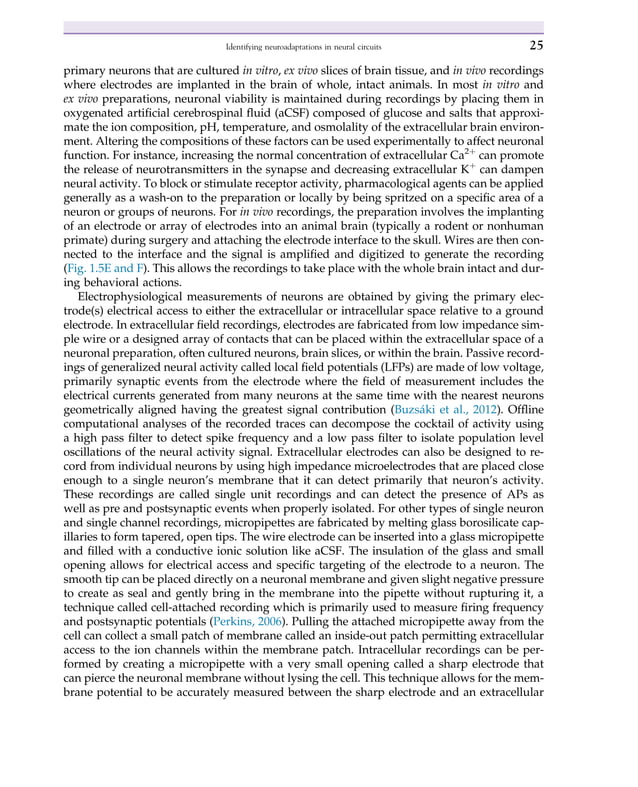 Neurocircuitry Of Addiction 1st Edition Nicholas W Gilpin Editor | PDF