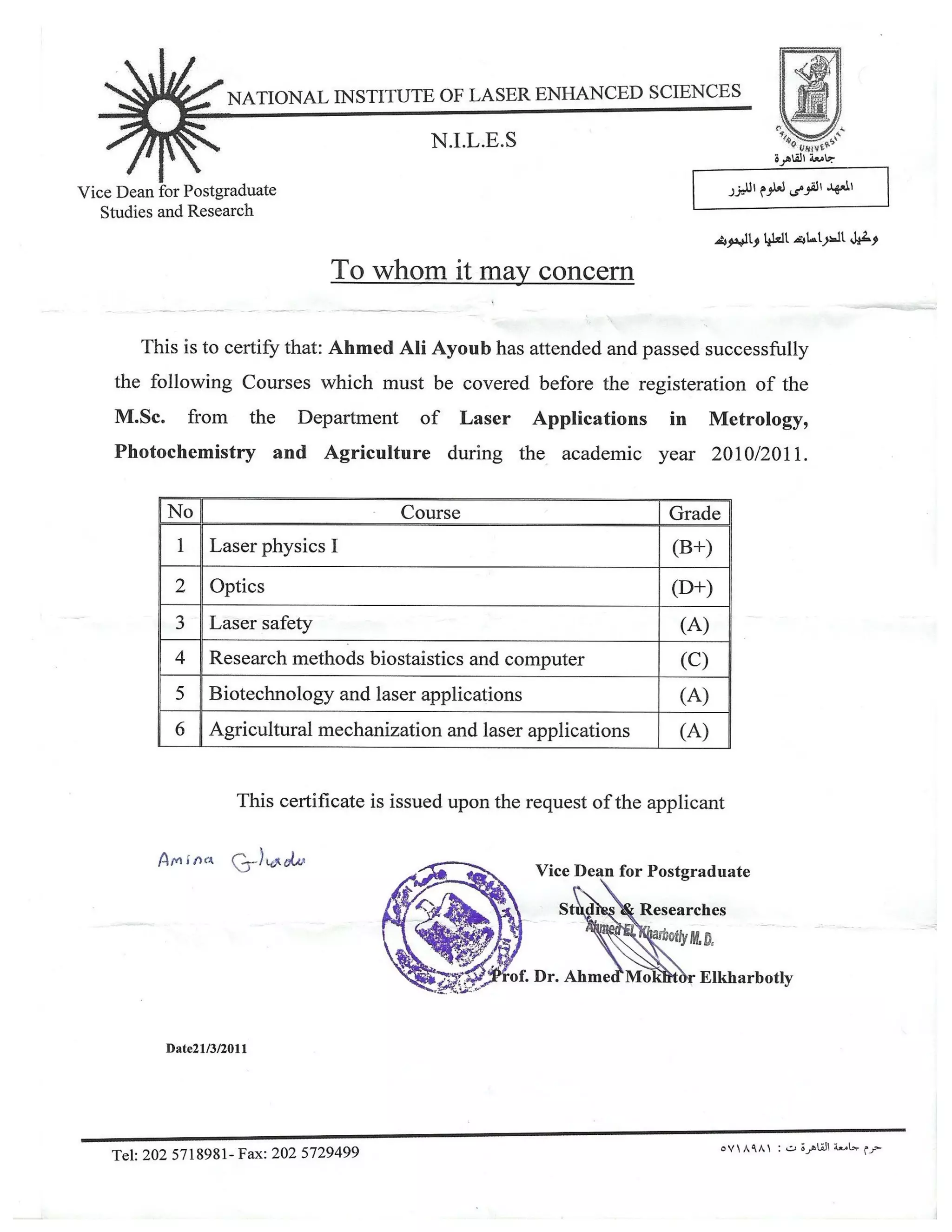 pre master diploma | PDF