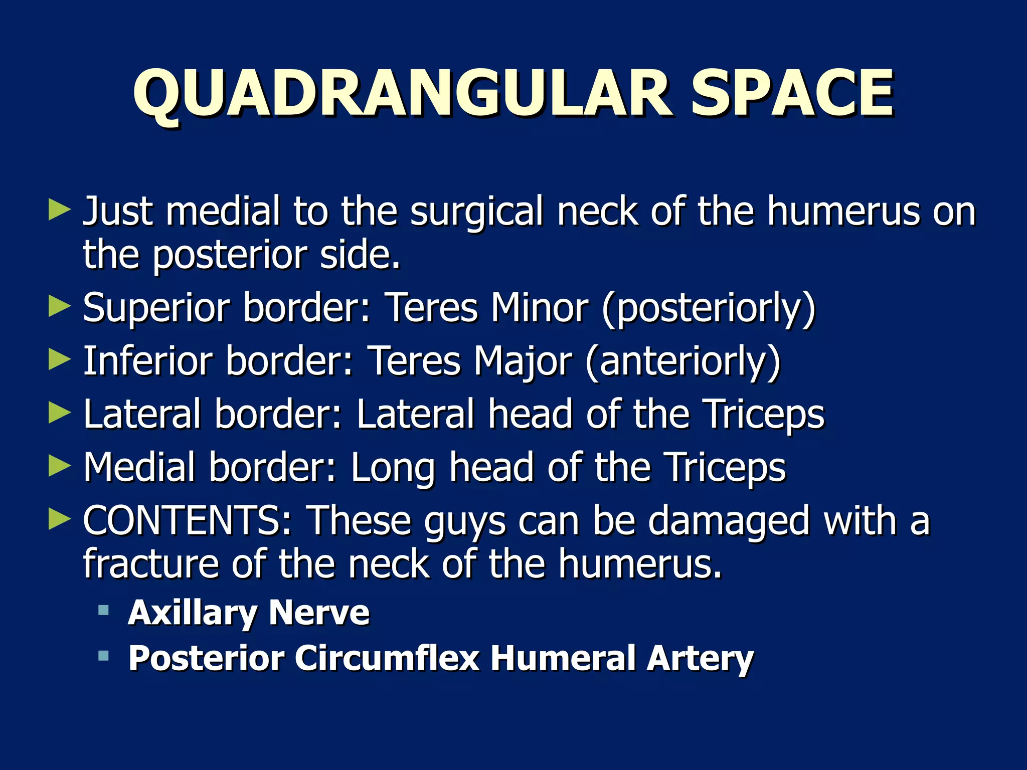 Shoulder and Pectoral Girdle | PPT