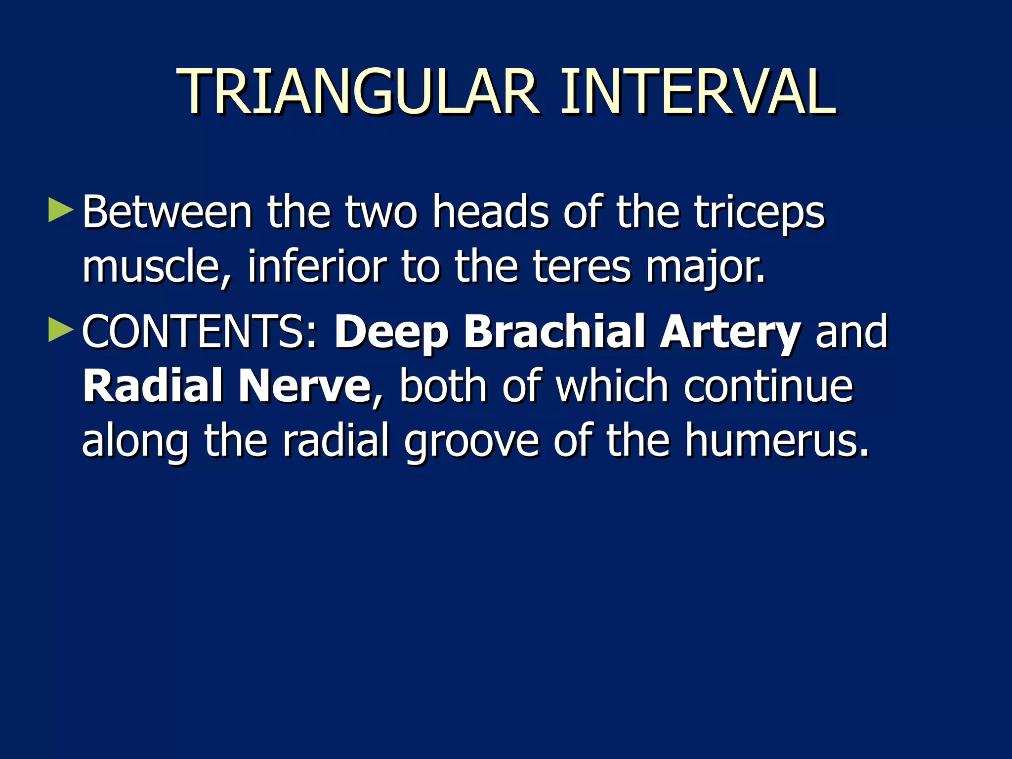 Shoulder and Pectoral Girdle | PPT