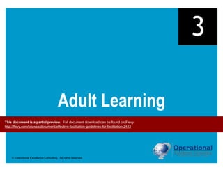 Effective Facilitation: Guidelines for Facilitation | PDF