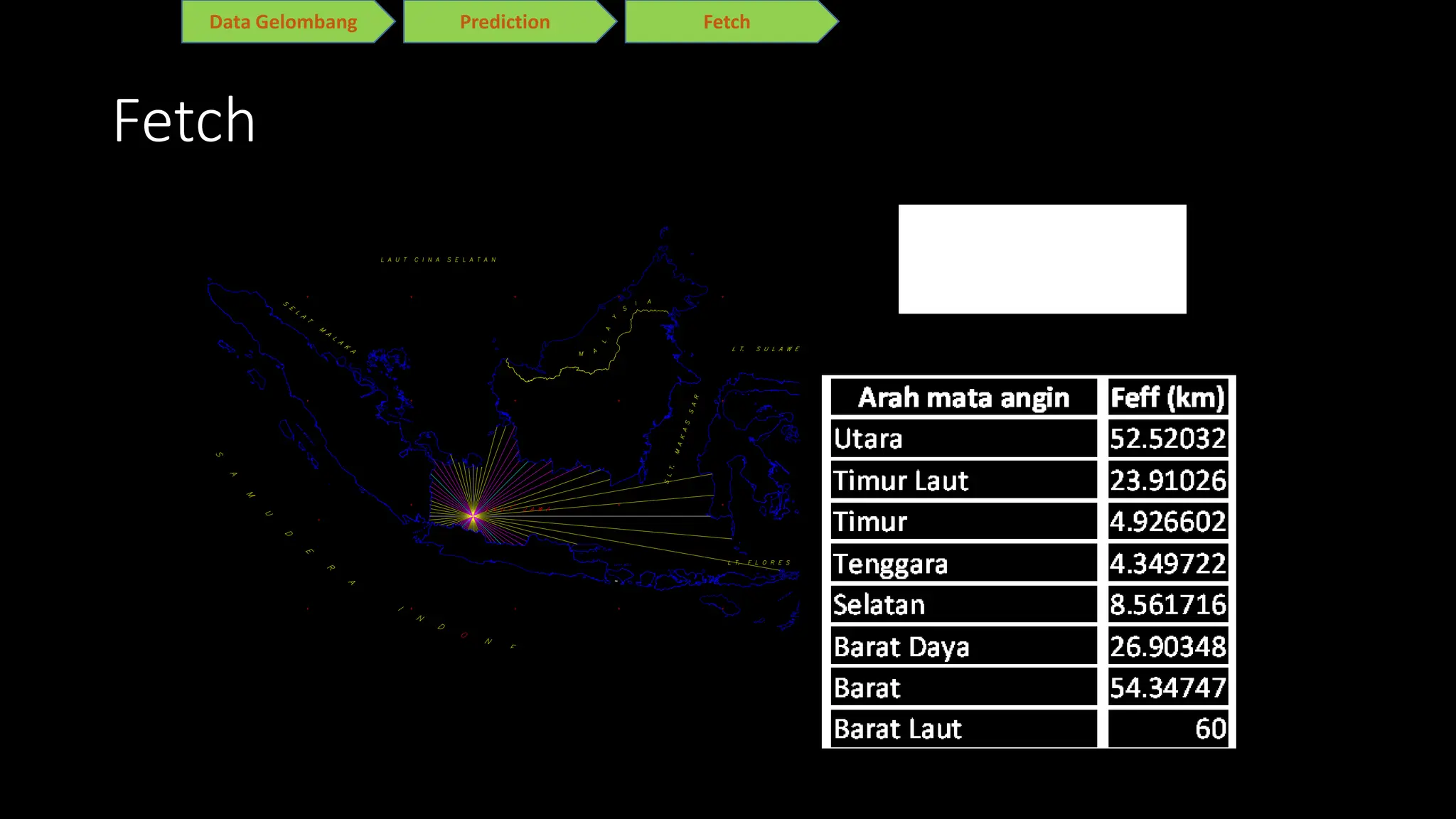 24476234555555_tutorial hindcasting.pptx