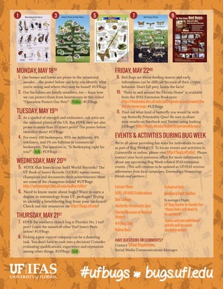 BugWeek Anticipation Letter02 | PDF