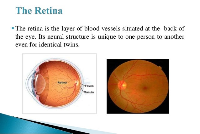 IRIS &RETINAL SCANNING PPT