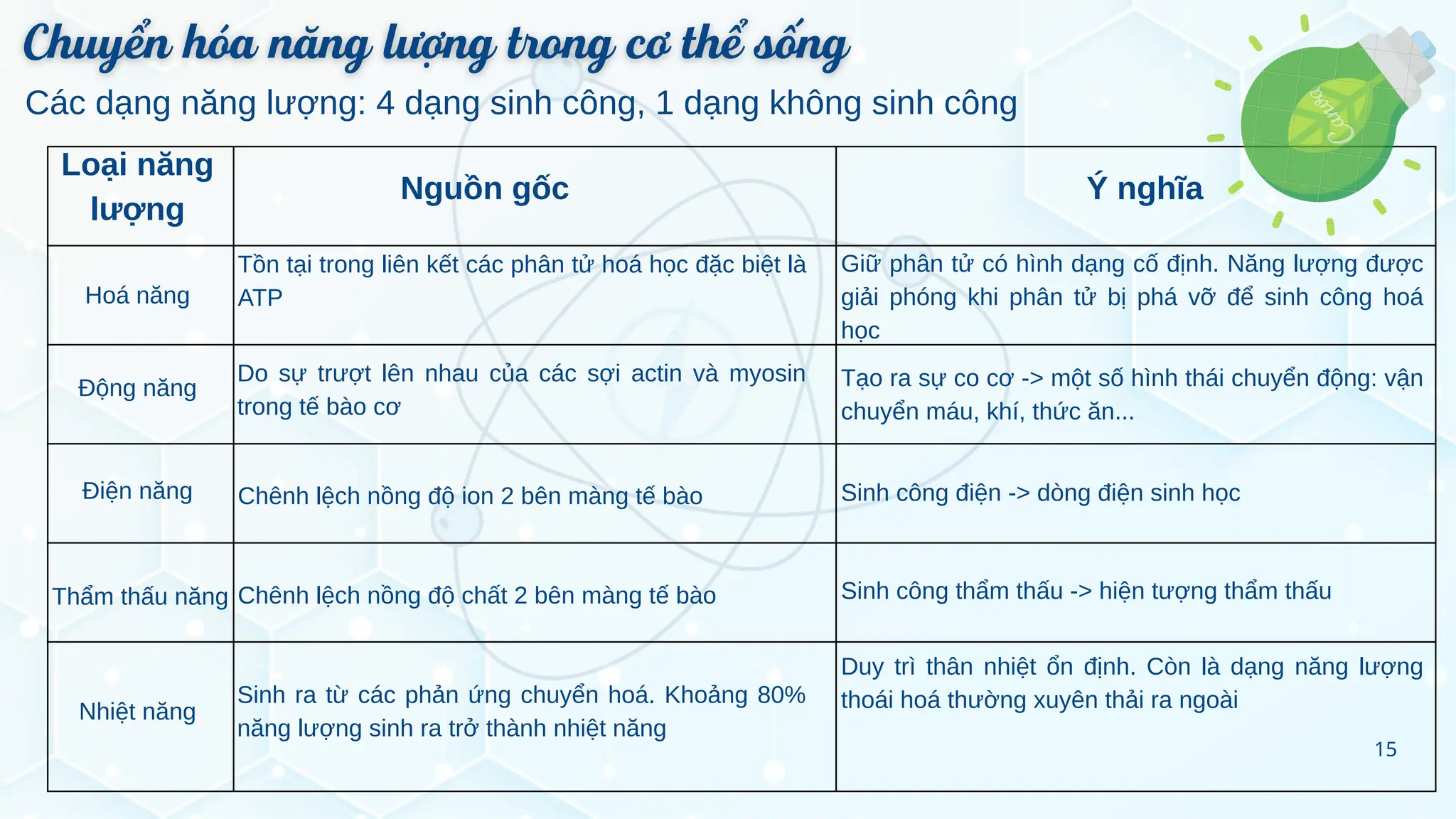 2453020087-RHM B 50-Nguyễn Anh Duy- Bài tập cá nhân Portfolio.pdf