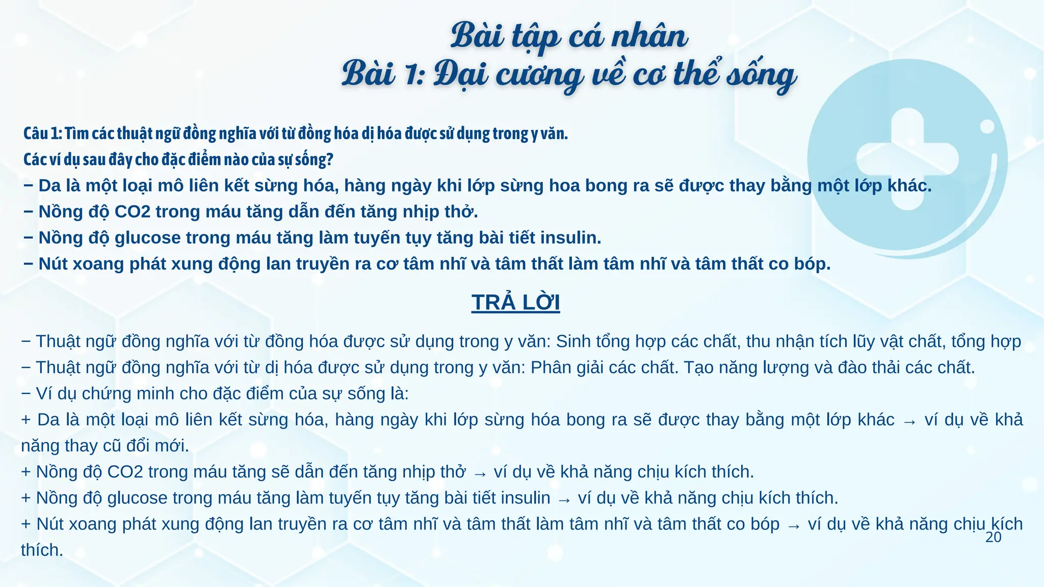 2453020087-RHM B 50-Nguyễn Anh Duy- Bài tập cá nhân Portfolio.pdf