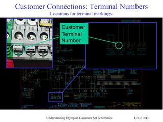 Understanding Olympian Generator Set Schematics | PDF
