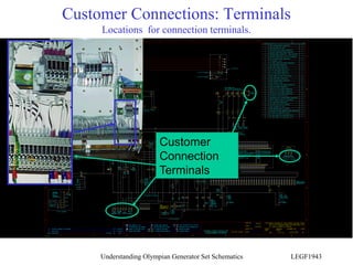 Understanding Olympian Generator Set Schematics | PDF