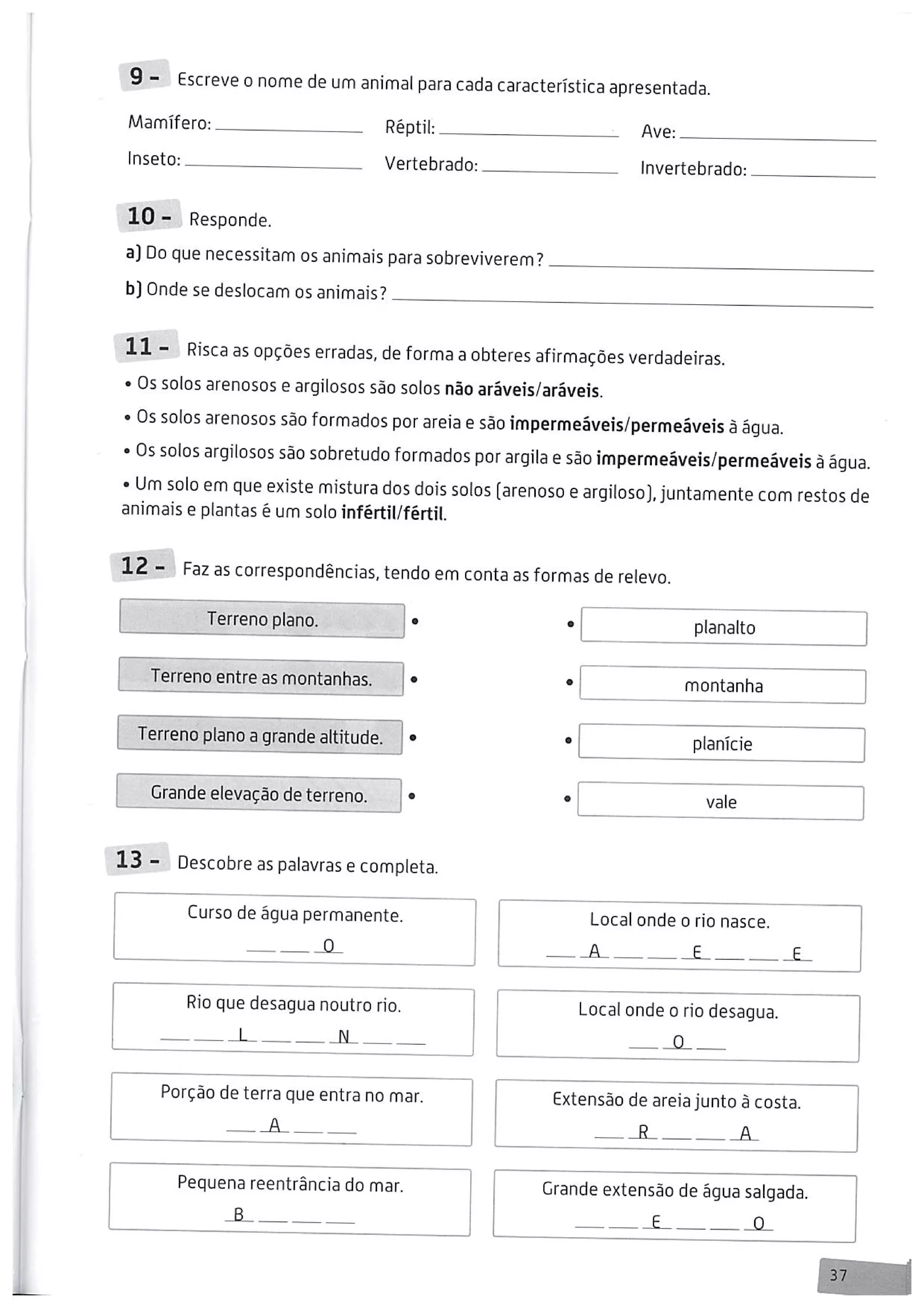 245376029-Rafa-3-Diagnostico-e-Trimestral.pdf