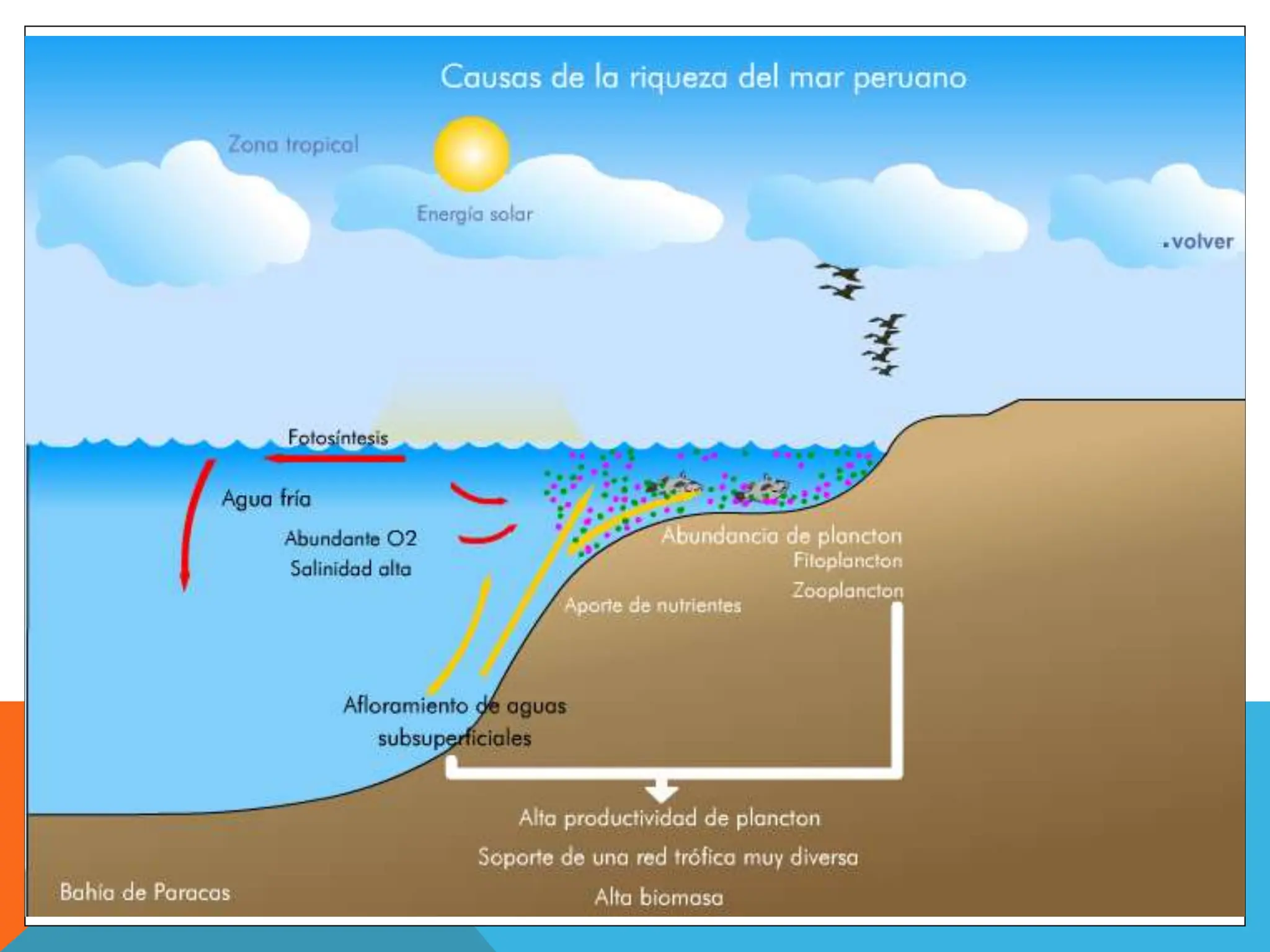 Mar Peruano o Mar de Grau, definicion y caracteristicas | PPT