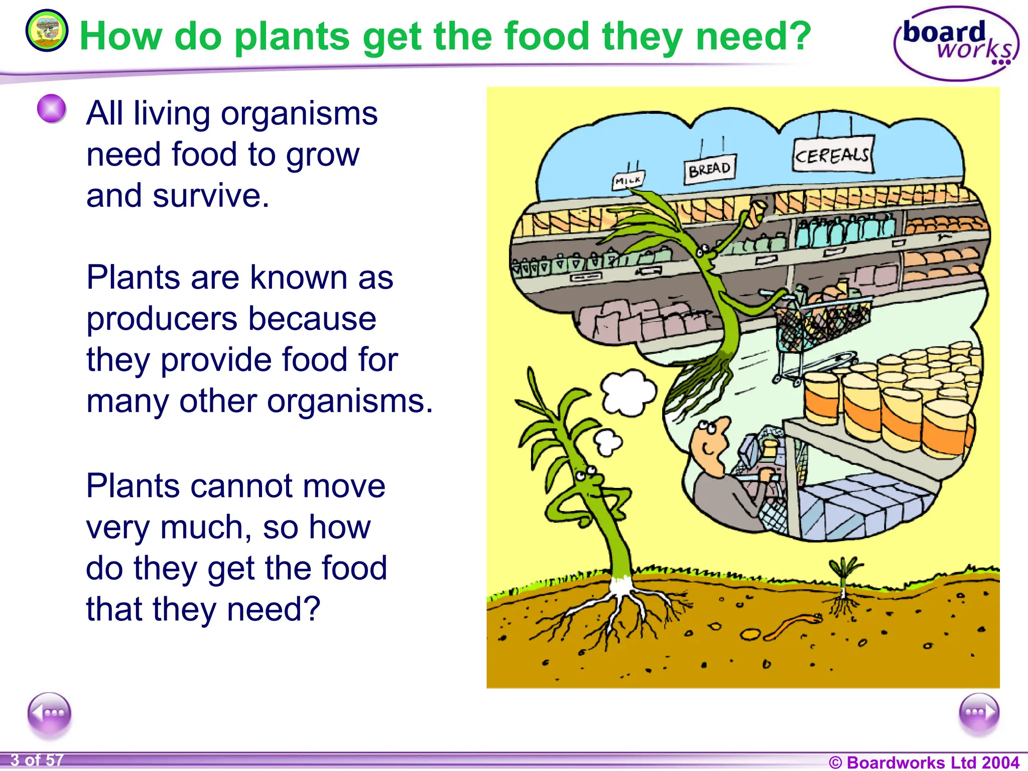 Plant nutrition and photosynthesis process in plants | PPT