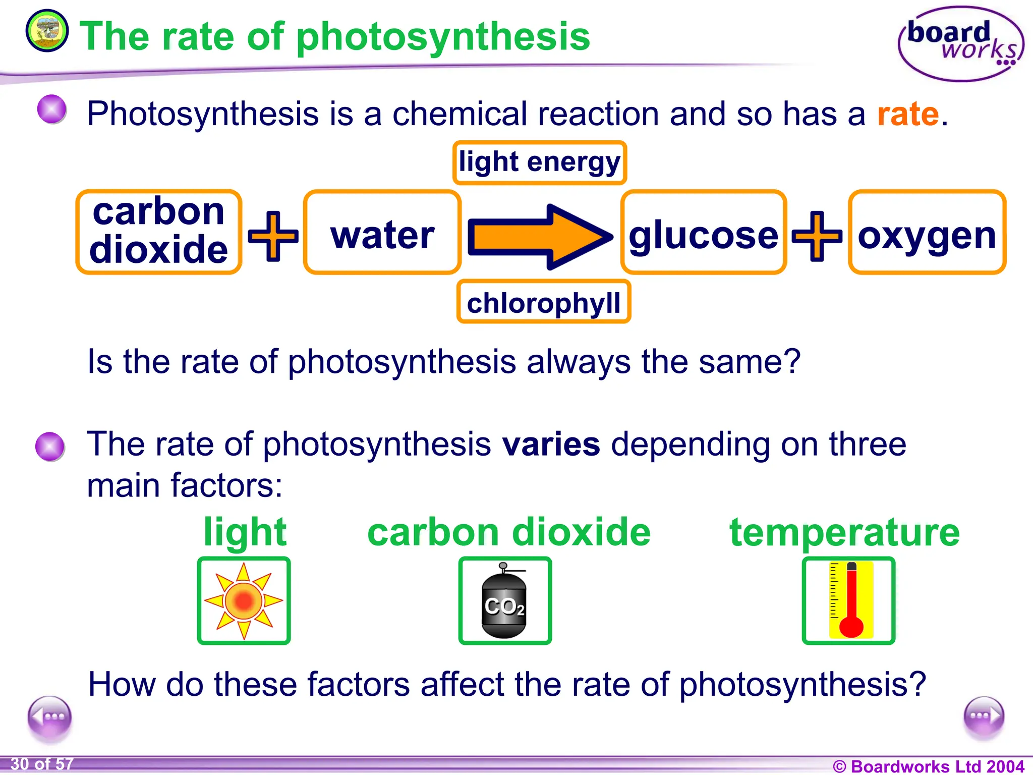 Plant nutrition and photosynthesis process in plants | PPT | Chemistry ...