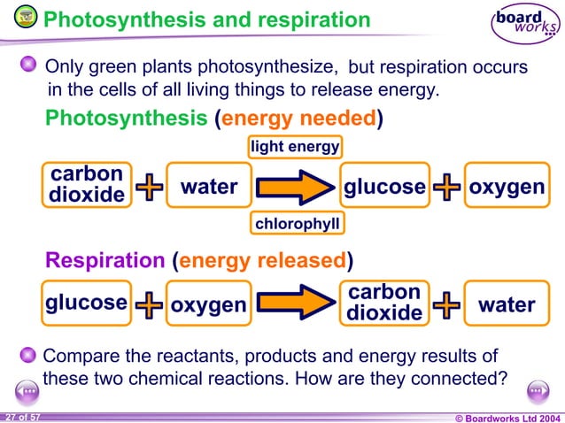 Plant nutrition and photosynthesis process in plants | PPT | Chemistry ...